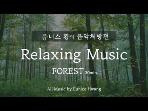 𝐏𝐥𝐚𝐲𝐥𝐢𝐬𝐭 음악처방전 Relaxing Music-Forest 30분 휴식 by Eunice Hwang 릴렉스 음악 (중간 ...