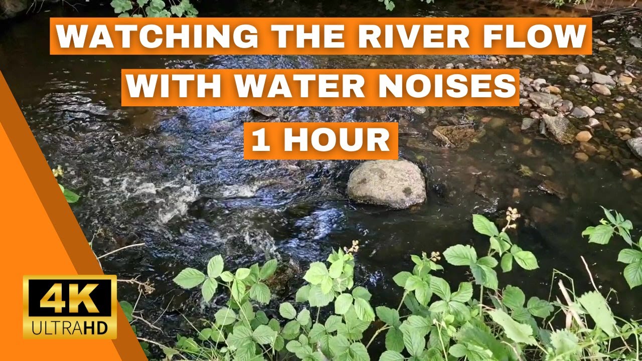 Watching The River Flow With Water Noises (4K) - 1 Hour Relaxation ...