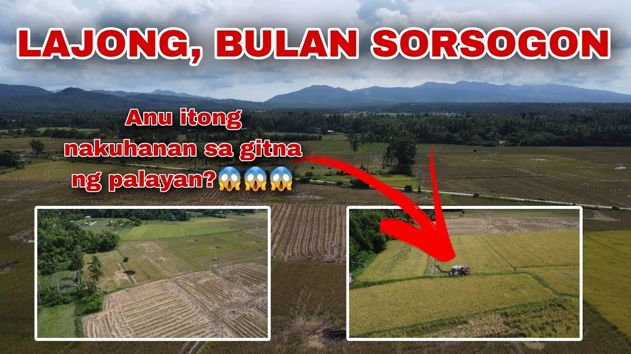 Beautiful View at Lajong, Bulan Sorsogon/Bulan vloggers group - YouTube