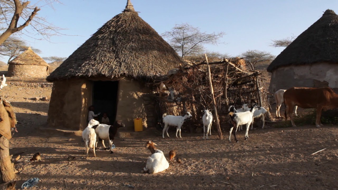 Bilen tribe village, Keren, Eritrea - YouTube