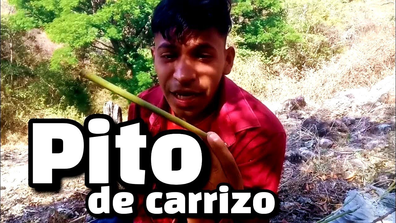 Así se hace un pito de la planta Carrizo - YouTube