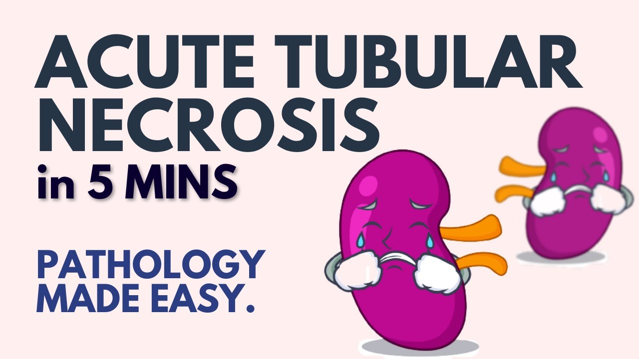 Acute Tubular Necrosis in 5 Minutes l Pathology Made Easy - YouTube
