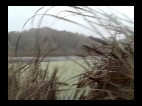 Opening Day Of Duck Season - YouTube