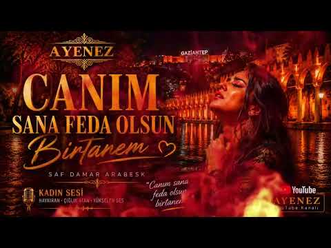 Sevdim Ama Kavuşamadım | Canım Sana Feda Olsun Birtanem