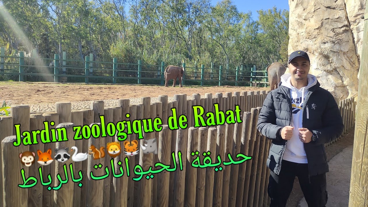 Visite du Jardin Zoologique de Rabat - زيارة حديقة الحيوانات بالرباط ...