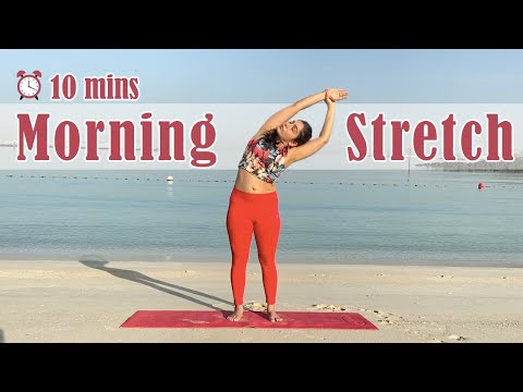 10 Mins Morning Yoga Stretch | Daily Full Body Yoga Stretch Routine | Bharti Yoga