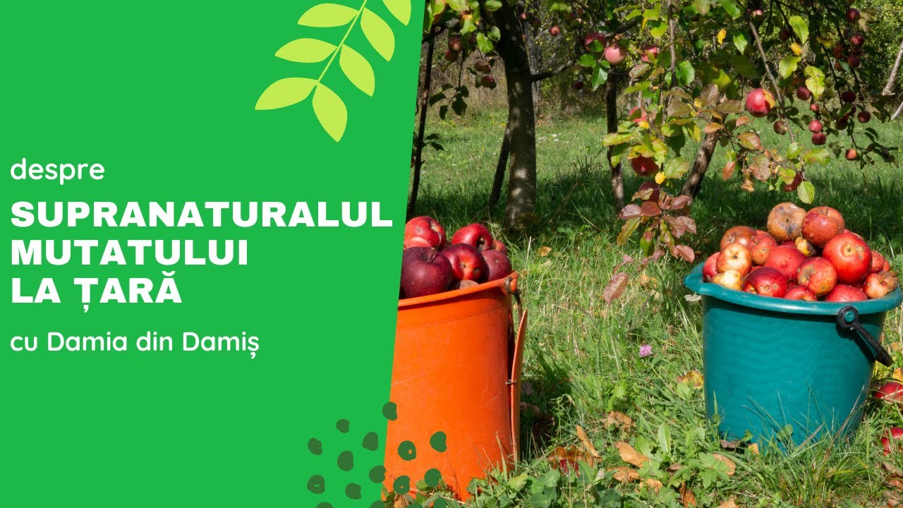 DESPRE SUPRANATURALUL MUTATULUI LA ȚARĂ - cu Damia din Damiș - YouTube