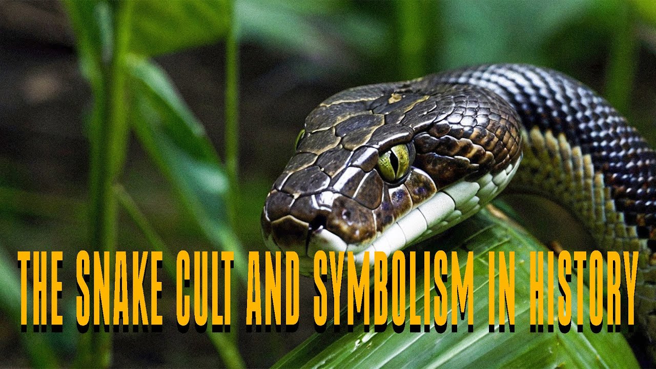The Snake Cult and Symbolism in History - YouTube