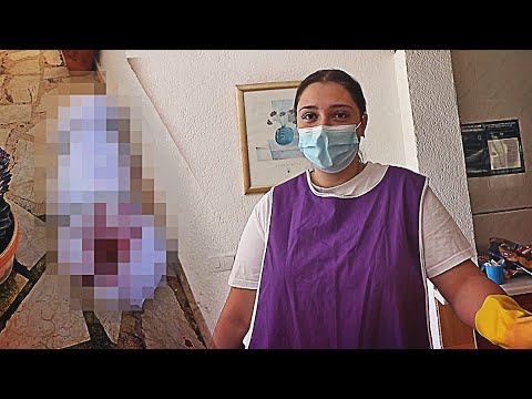 HOTEL CLEANER TRYS TO KIDNAP MY SON IN SPAIN!! (Police Called) - YouTube