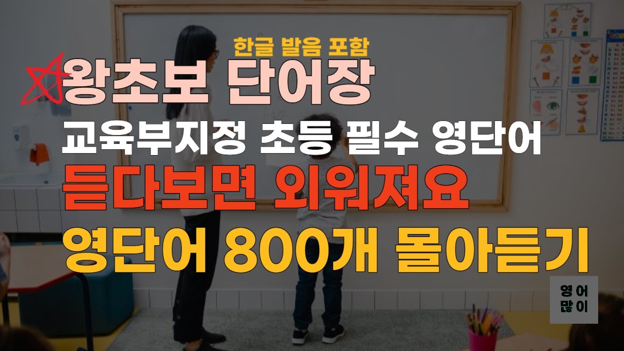 왕초보 단어장 800 몰아듣기 초등영어 듣기만 하세요 저절로 외워져요 교육부지정 초등필수영단어영어공부 기초영어단어 기초영단어 기초영어 Youtube