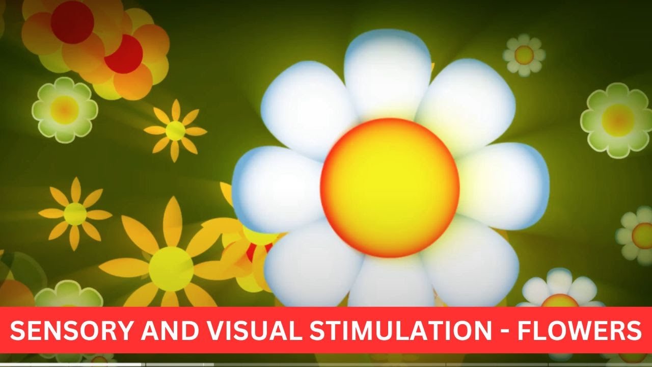 Sensory and Visual Stimulation video for Kids all about flowers - YouTube