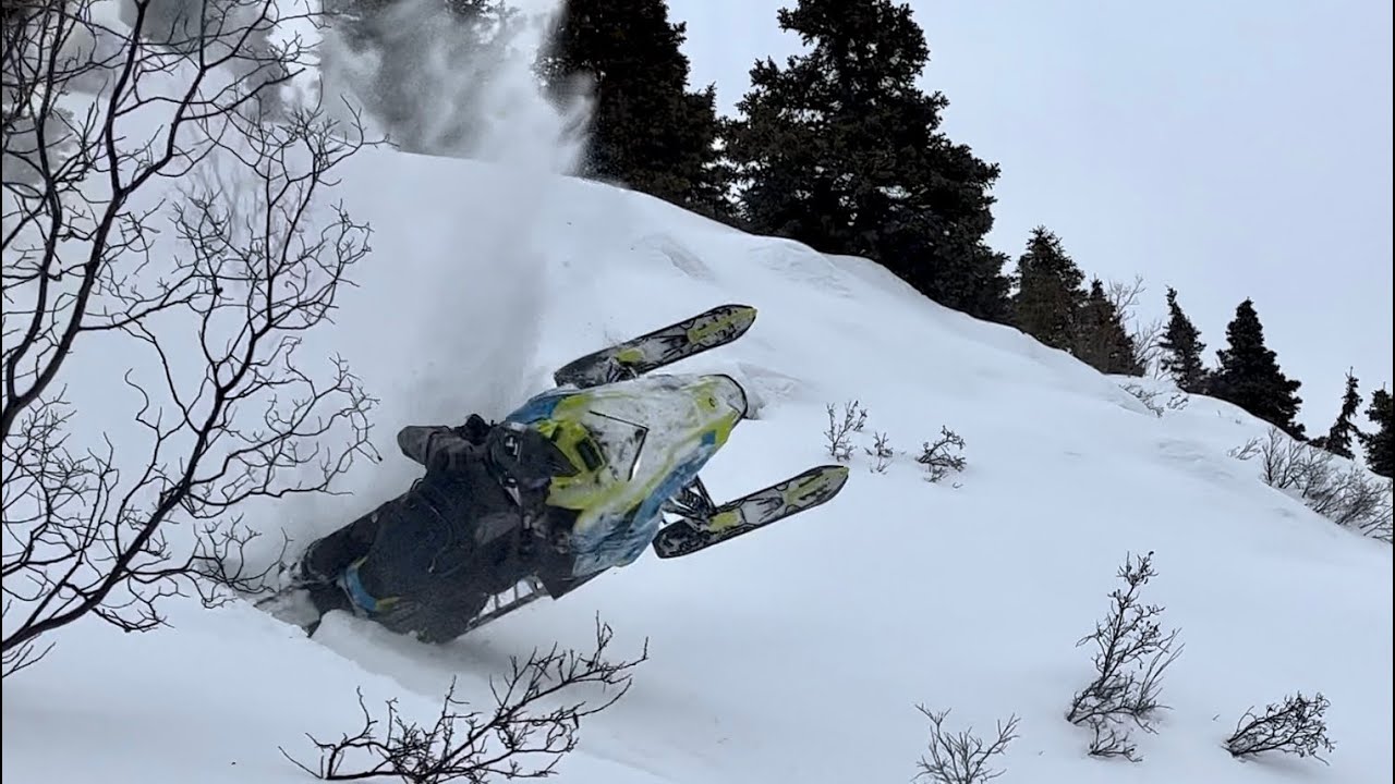 Flipping sleds and hitting trees - YouTube