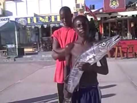 JONATHAN CARTY (age 14) ROLANDO HASSEL (15) BARRACUDA! PHILIPSBURG, ST ...