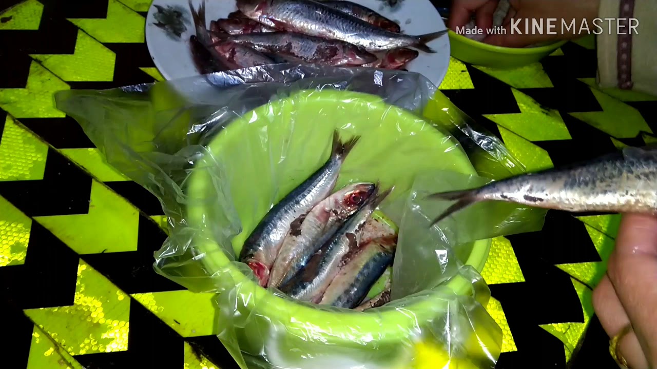 ي محلا السردين البلدى فى التمليح Youtube