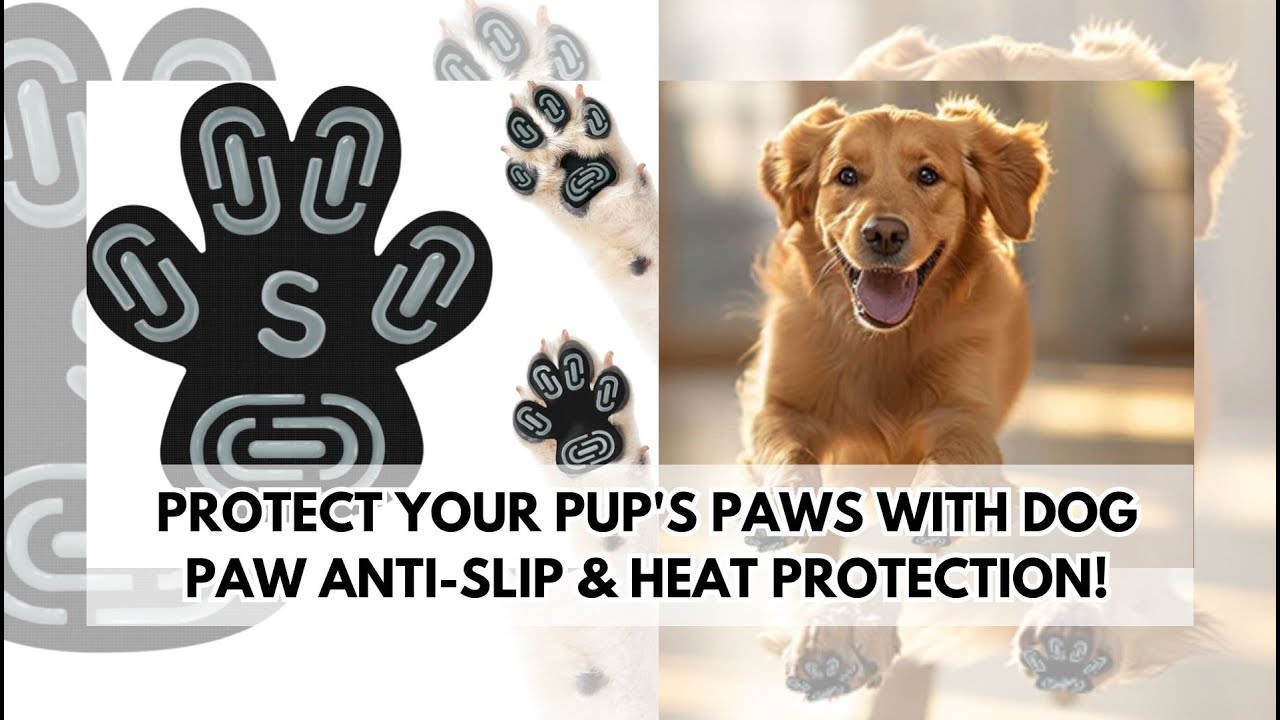 Dog Paw Anti-slip And Heat Protection - YouTube