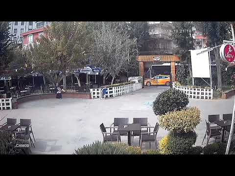 Bağcılar kedisi :-)