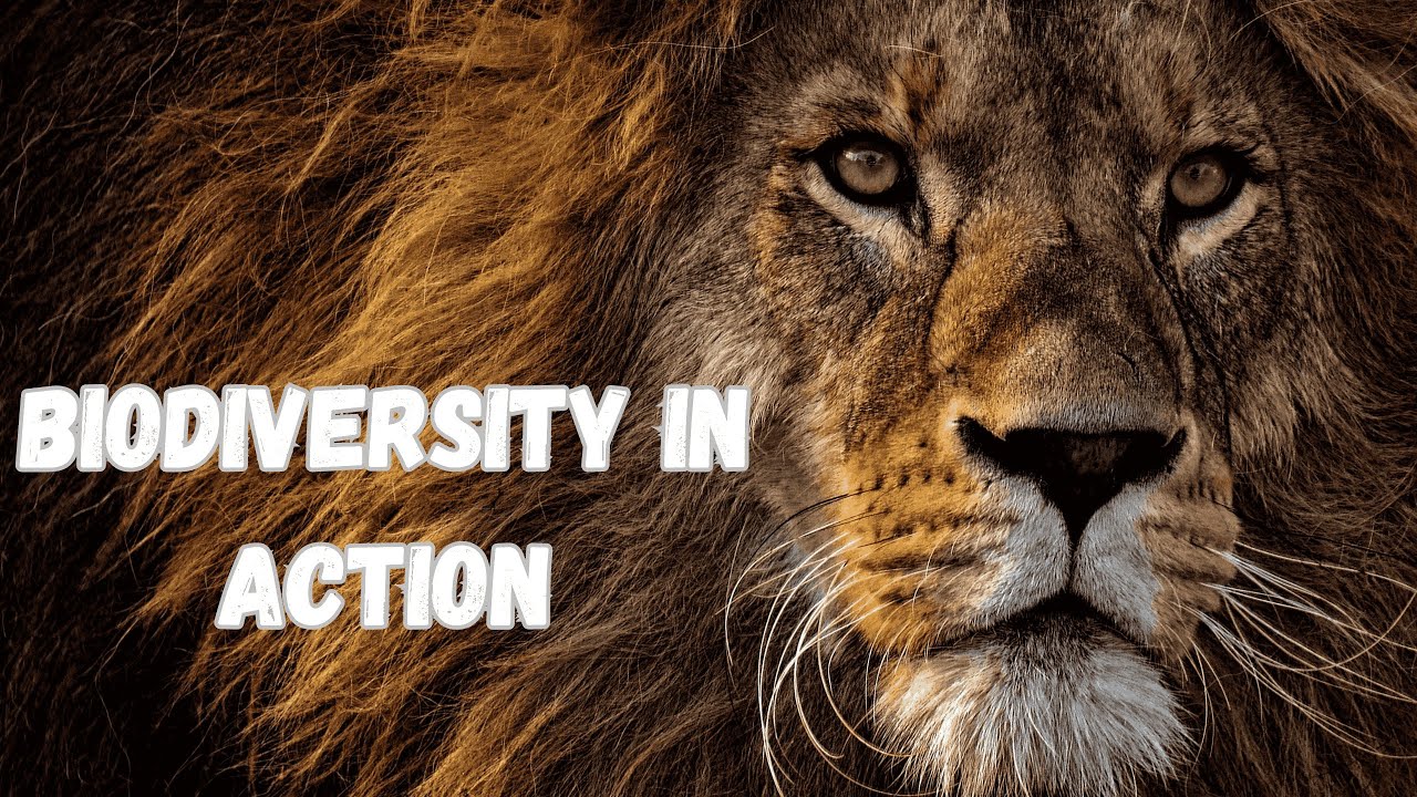 Amazing Wildlife Animals 4k Video - YouTube