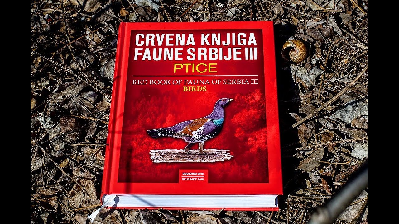 CRVENA KNJIGA FAUNE SRBIJE III - PTICE - YouTube