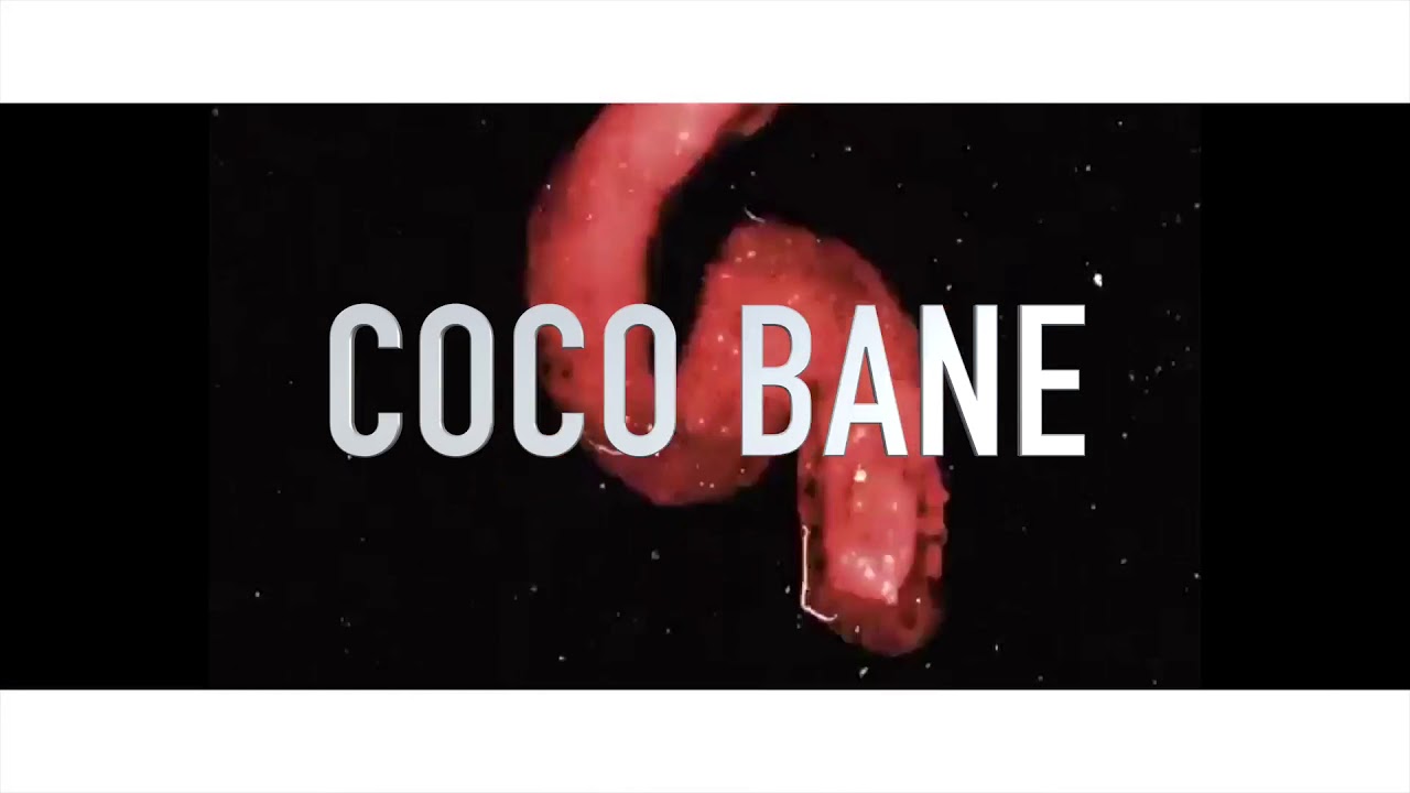 BIJOU SOSSEH - COCO BANE (Teaser Clip) - YouTube
