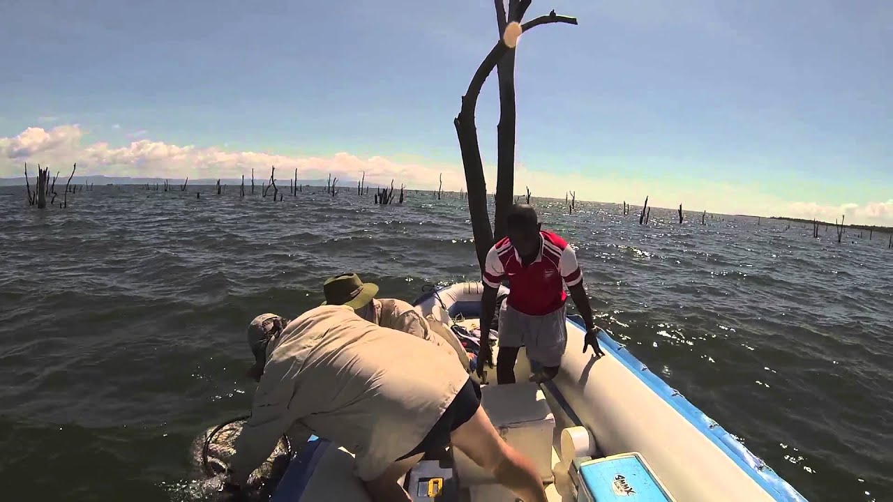 Kariba. Bream fishing at Antilope island - YouTube