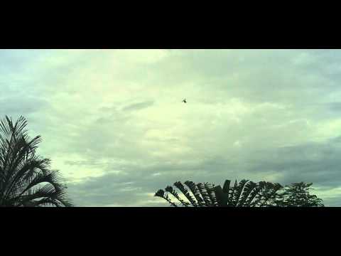 NE Nine Eagles Solo Pro - Rotor head with Mod Y - Outdoor 10