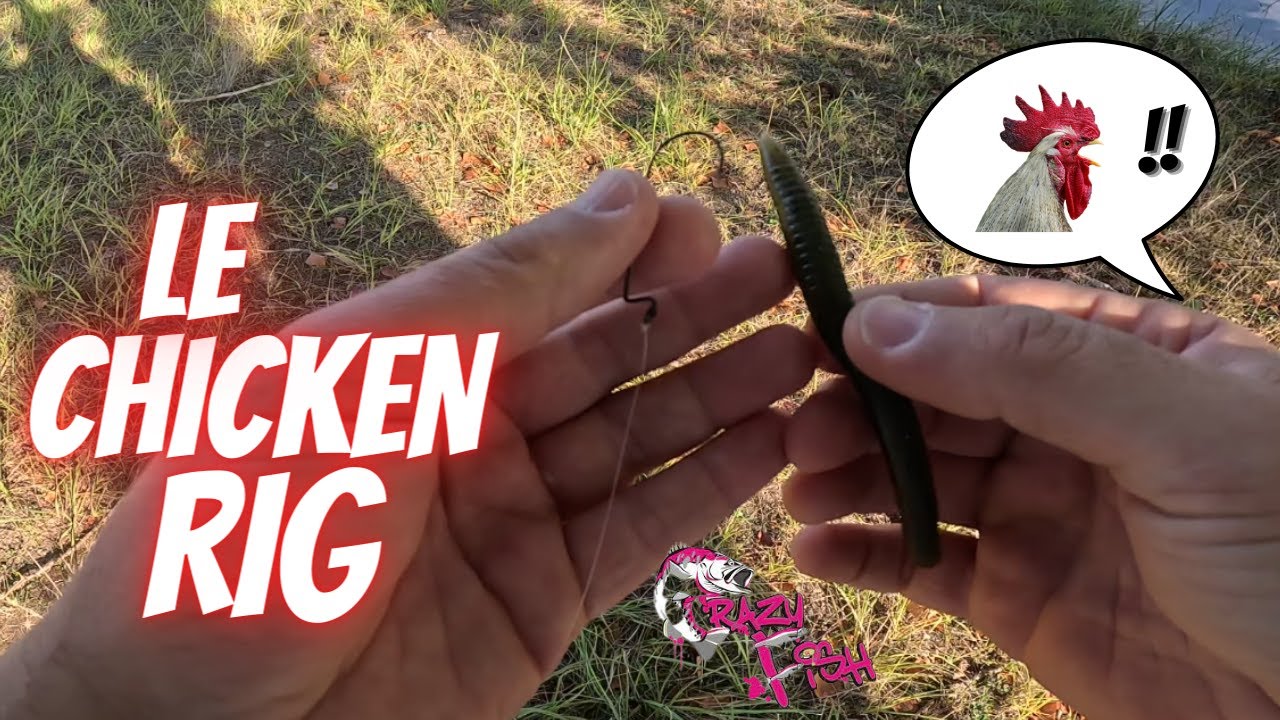 LE MONTAGE CHICKEN RIG un MUST pour les BASS 💥 - YouTube