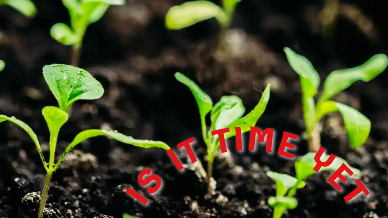 Is It Time Yet - YouTube