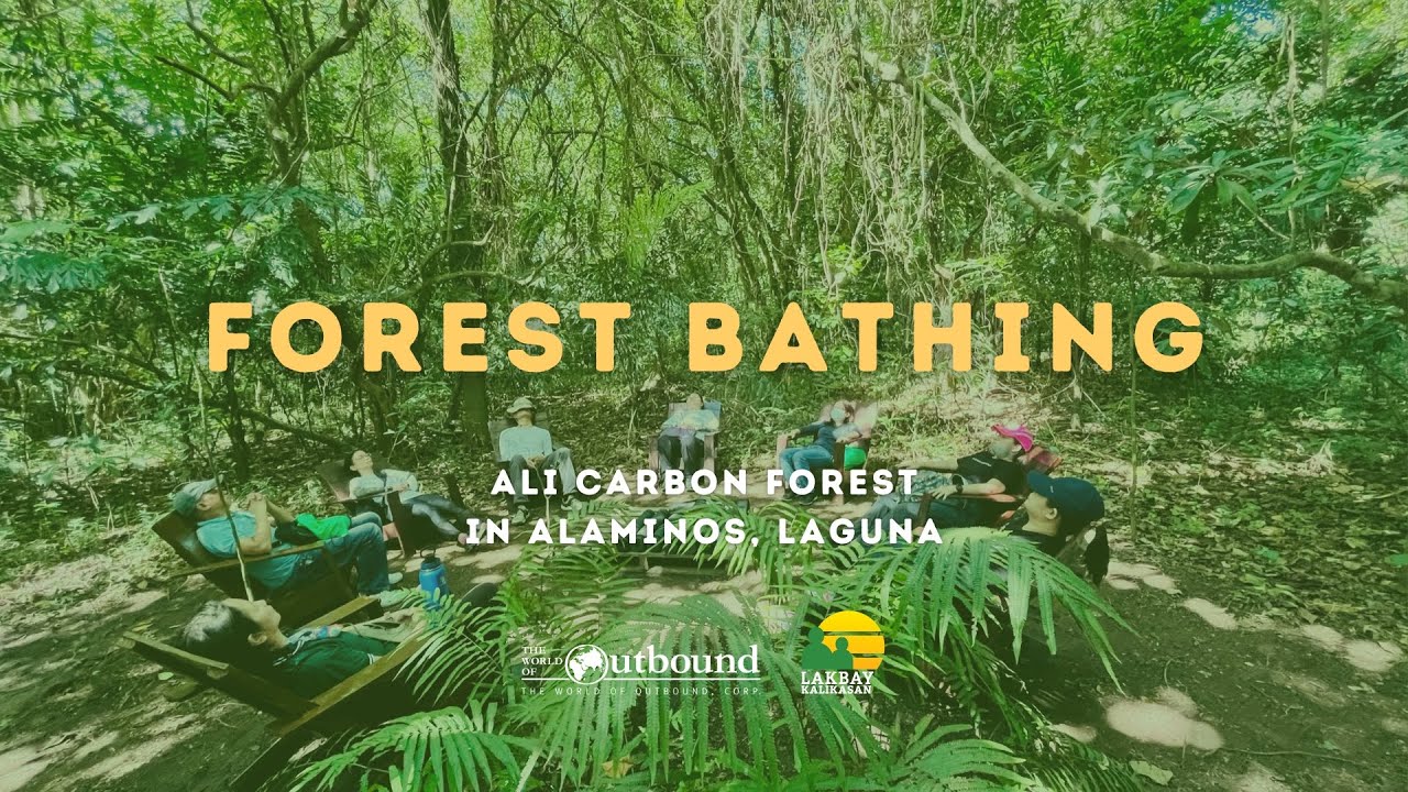 FOREST BATHING in Alaminos Carbon Forest - YouTube
