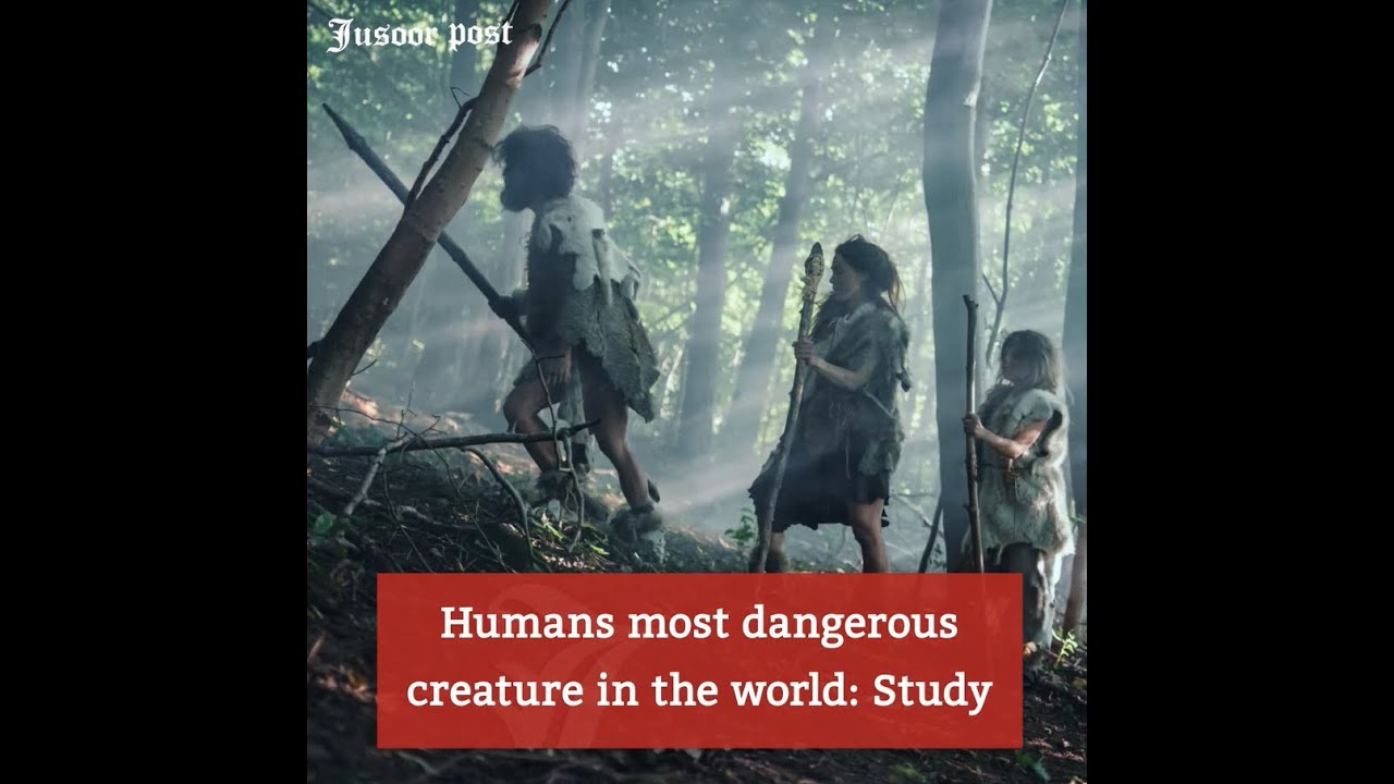 Humans most dangerous creature in the world - YouTube