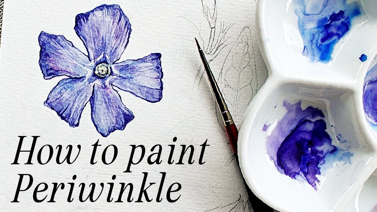 Periwinkle painting tutorial. How to paint watercolor flower ...