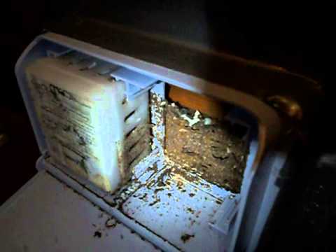 4Termite Monitoring and Baiting System - Sumitomo Xterm™ - YouTube