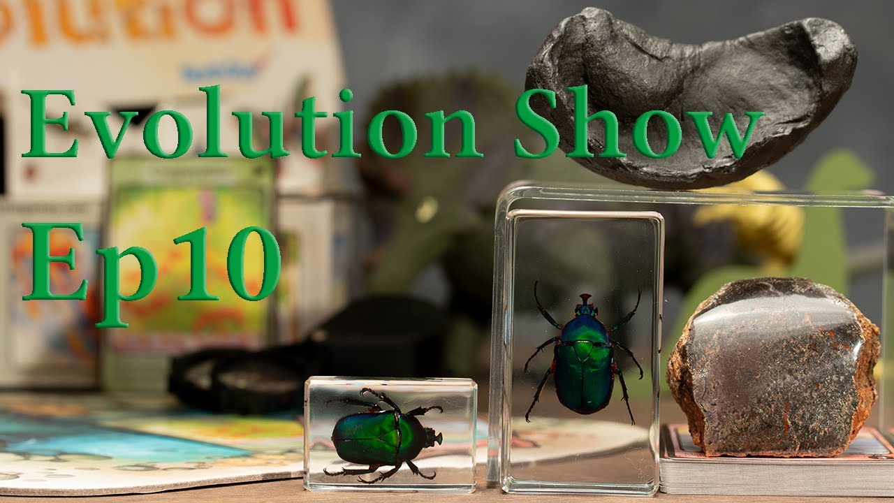 The Evolution Show Ep10 - YouTube