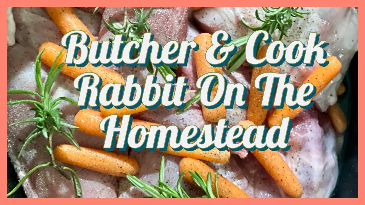 Butcher & Cook Rabbit On The Homestead - YouTube