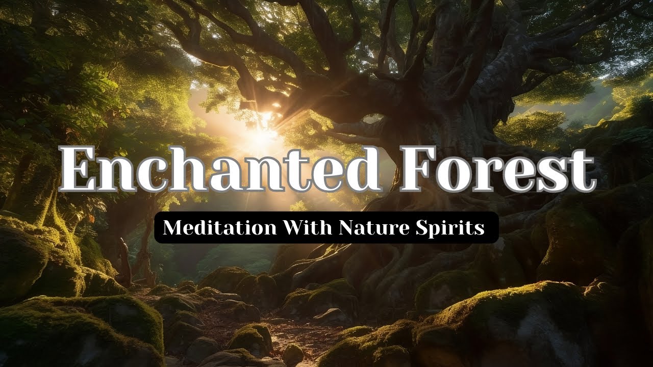 Enchanted Forest Ambience 》Magical Ambient Music 》1 Hour Relax, Sleep ...