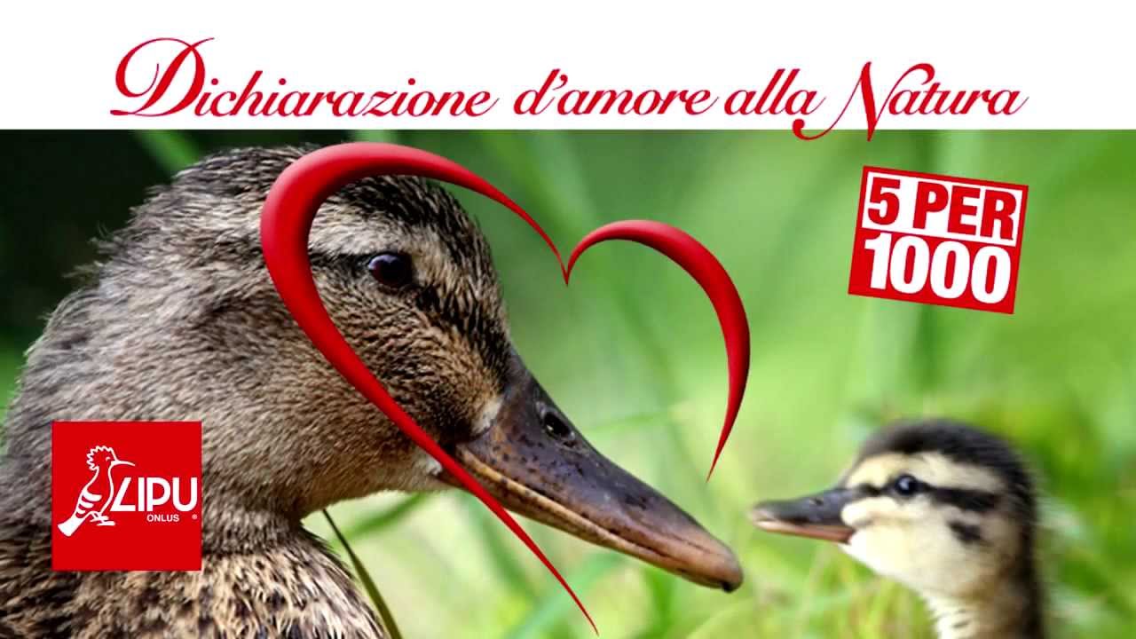 Alberto Bergamini - doppiaggio - 5 per mille LIPU Dichiarazione d'Amore ...