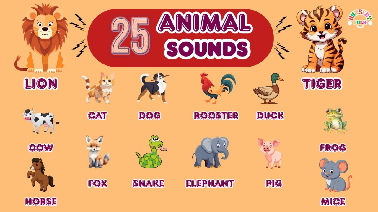Fun Animal Sounds for Kids | Learn Animal Noises with Cute Voices - YouTube