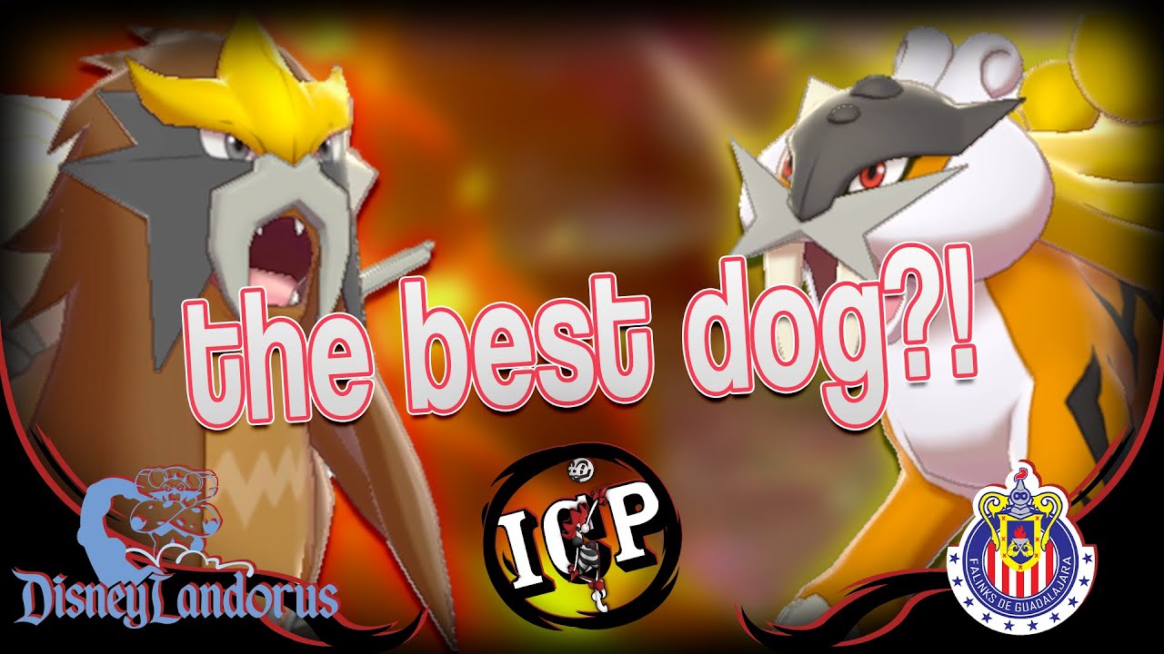 WHO HAS THE BEST LEGENDARY DOG?!? (ICP Week 3) - YouTube