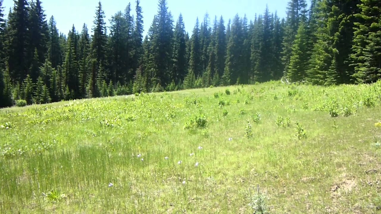 Umatilla Rim Trail Mountain Biking - YouTube