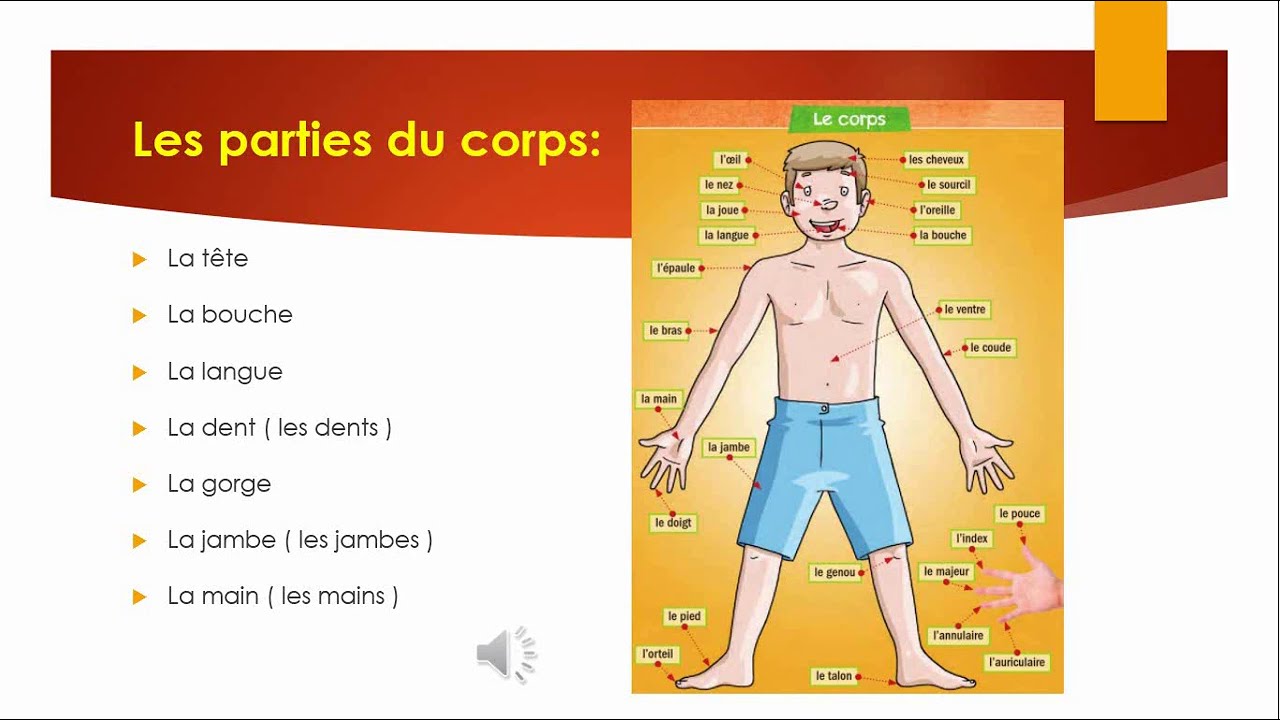 club ados 1 unité 4 leçon 1 - YouTube