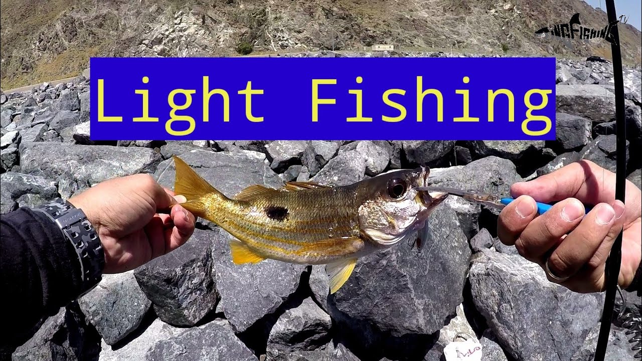 Light Fishing | Shore Casting | Spotted Snapper - YouTube