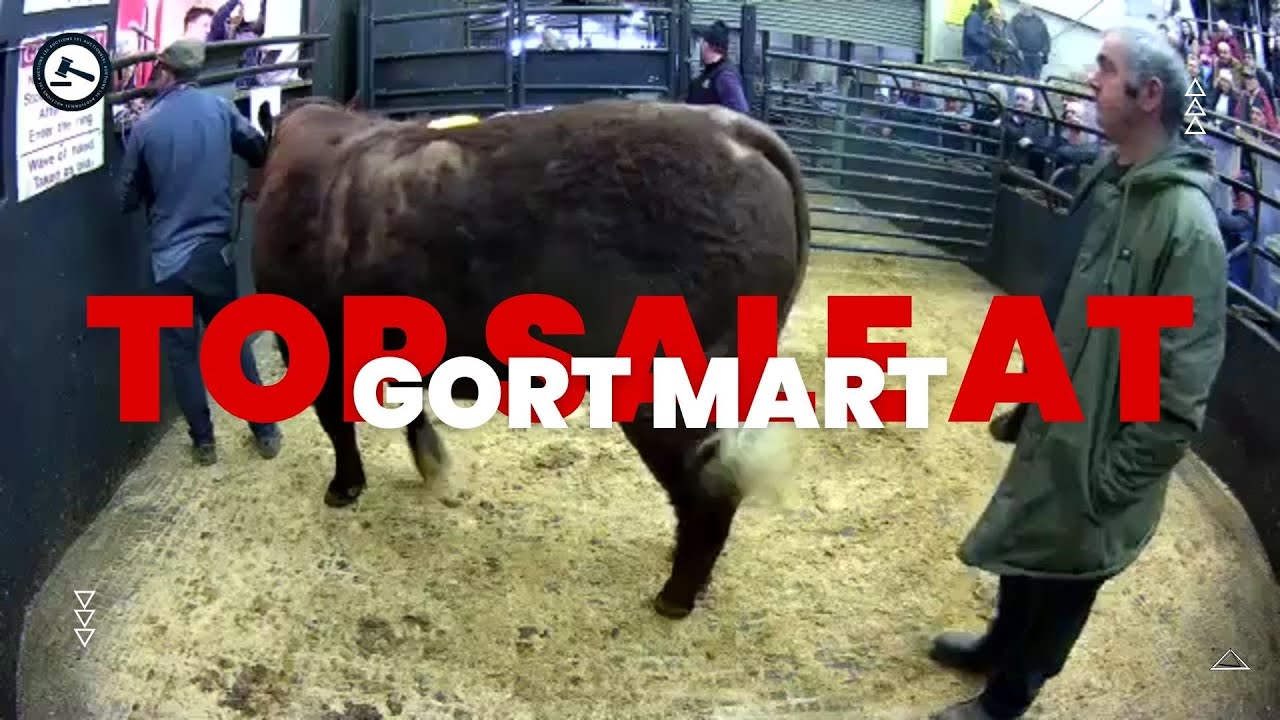 €3160.00!! Gort Mart - YouTube