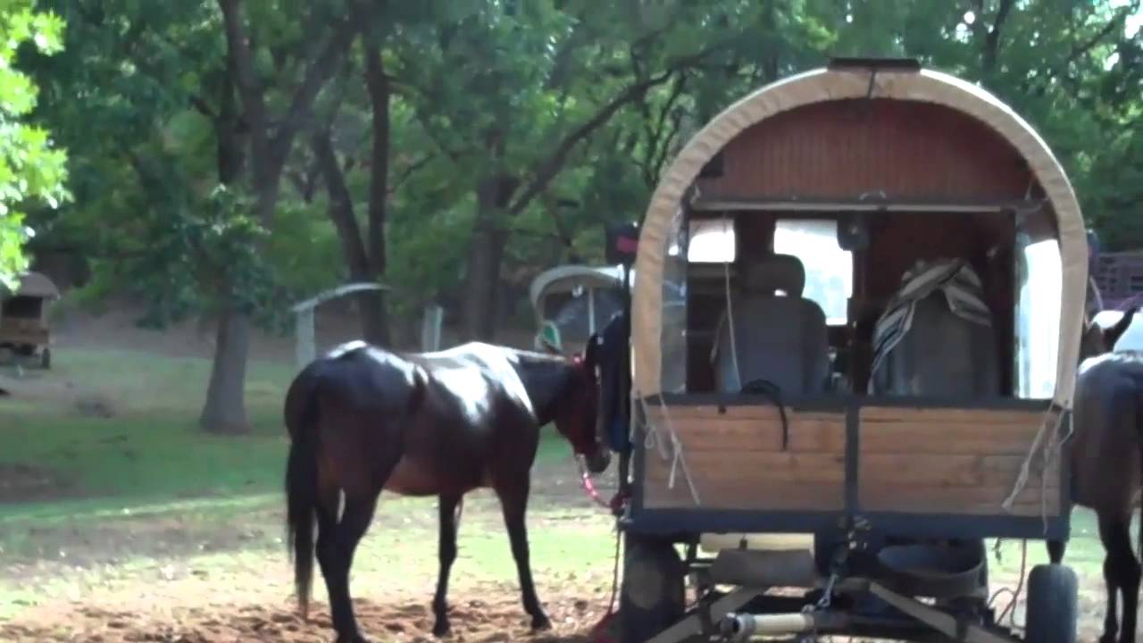 89er's Wagon Train Riders Fall Ride at Heart Ranch - YouTube