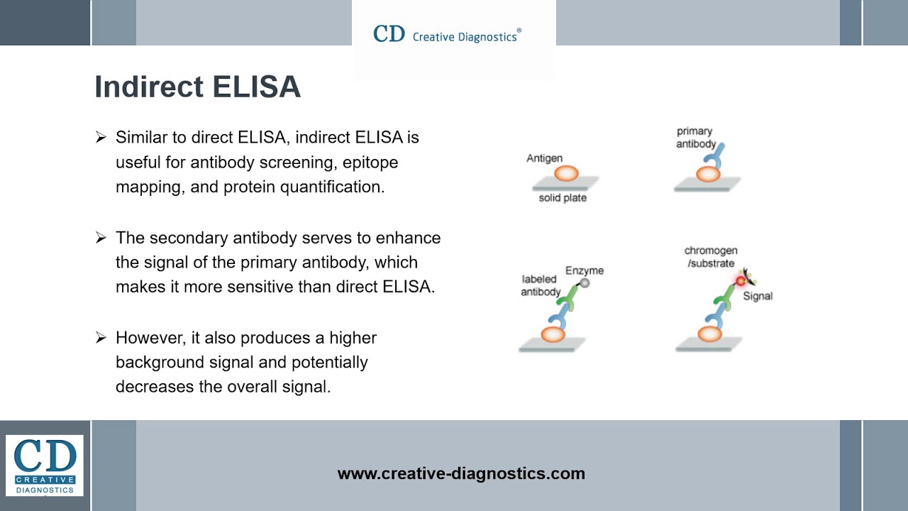 ELISA Guide - Creative Diagnostics - YouTube