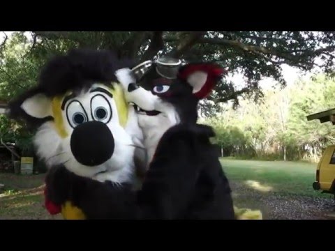 10 Years of Greifer - YouTube