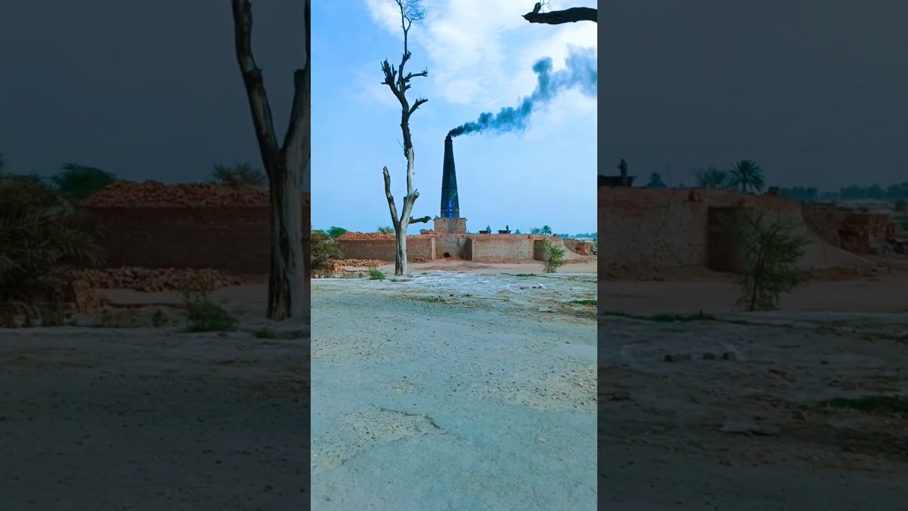 bhatta in village, beautiful view#naturelovers #music - YouTube