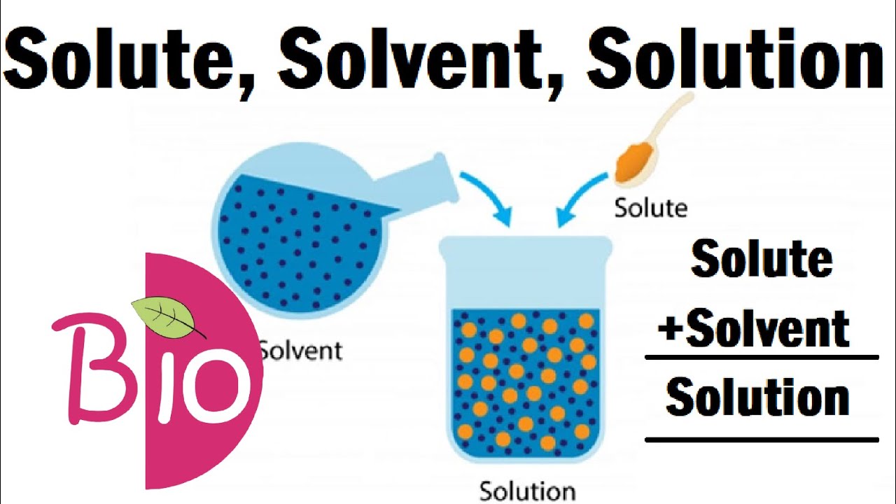 Difference in Solute, Solvent and Solution by Simply The Best BIO - YouTube