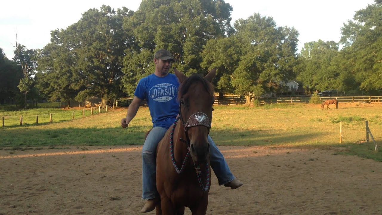 The whip and neigh neigh by my husband! - YouTube