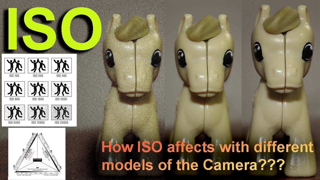 CHAPTER 1 SECTION 4 || ISO || WHAT IS ISO??|| HOW ISO AFFECT IMAGE ...