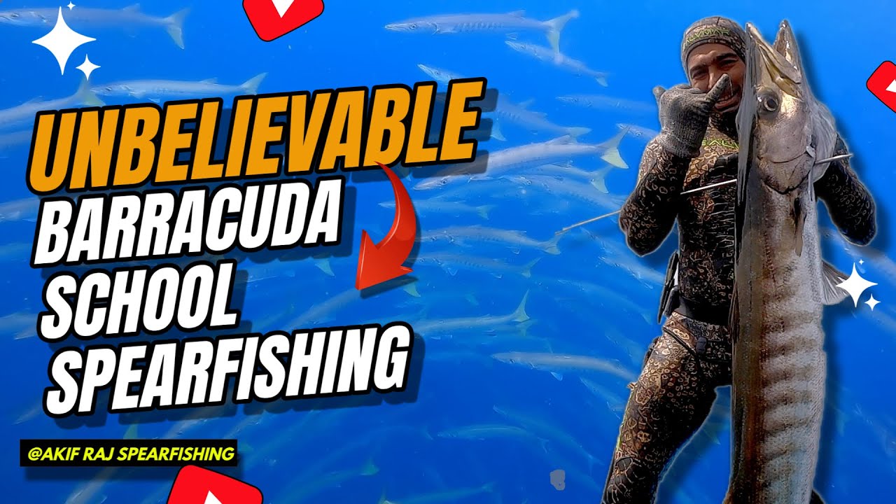 UnBelievable Barracuda School Encounter Solo Dive Experience |Akif Raj ...