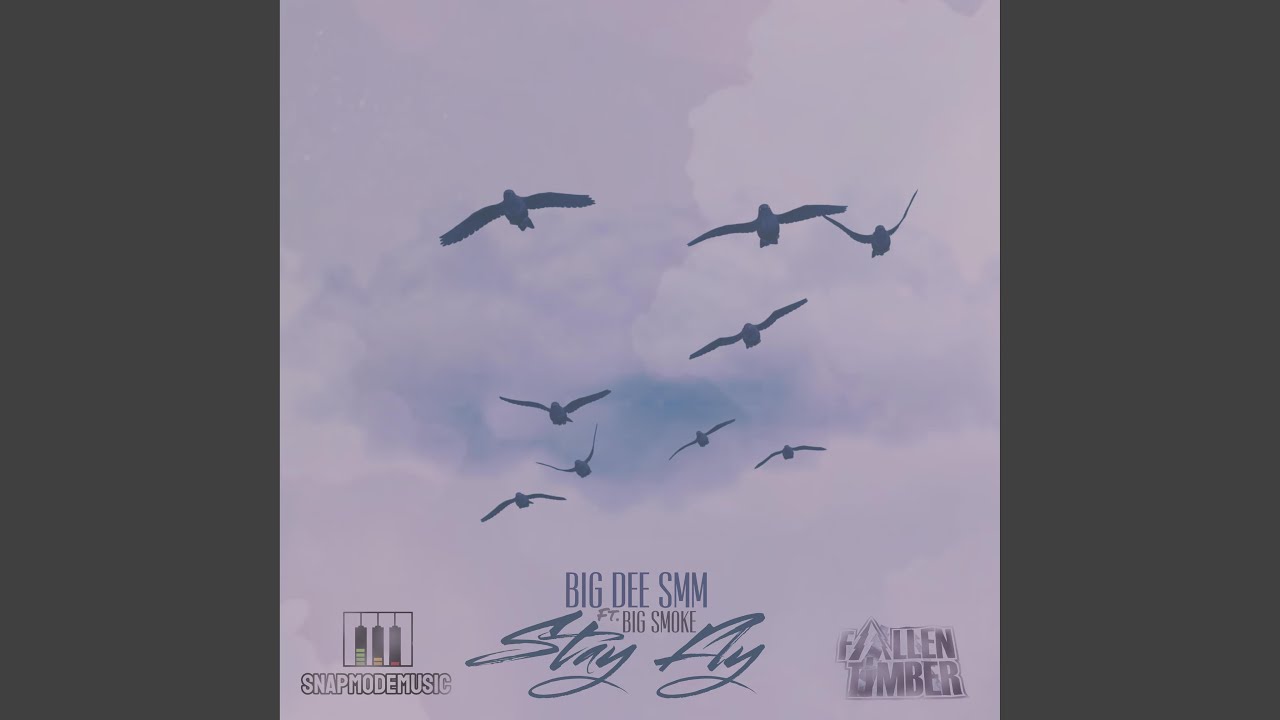 Stay Fly (feat. Big Smoke) - YouTube